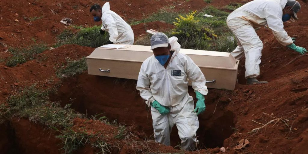 Pig Farming: An Untapped Industry in Namibia – Windhoek Observer