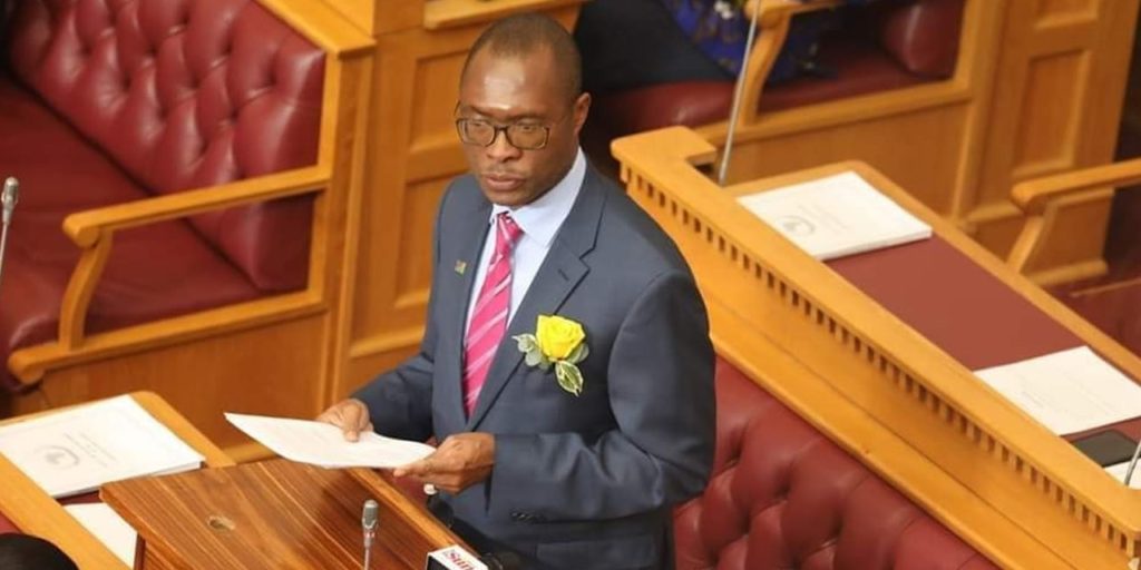 Shiimi tables declining budget … as sin tax is upped – Windhoek Observer