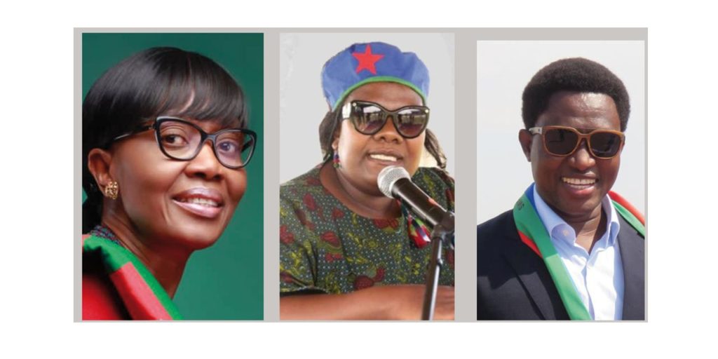 Swapo Campaign: Capability should trump age – Windhoek Observer