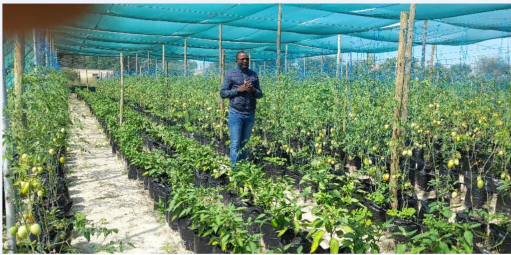 Okongo Constituency makes strides in the fight against drought ...