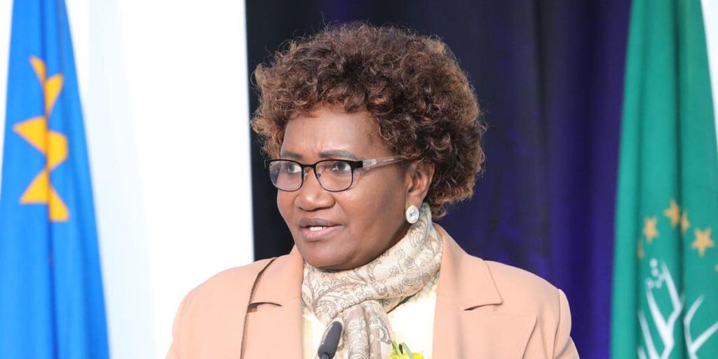 Education universality and training key for sector expansion: Kandji ...