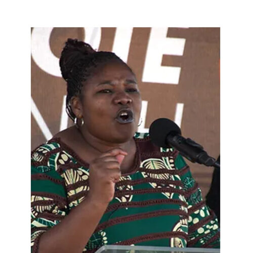 Windhoek Observer – Democracy in the mirror